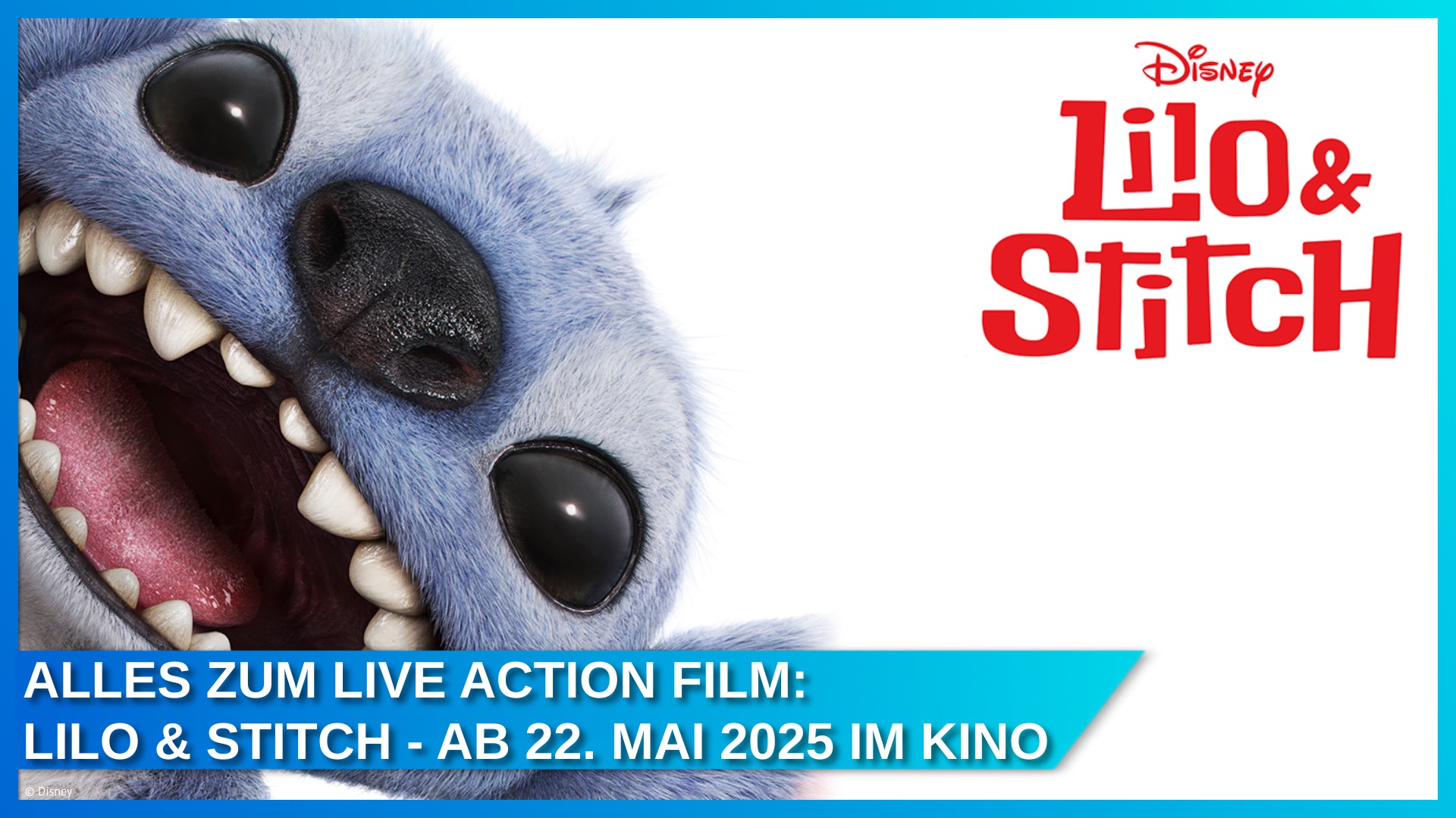 Lilo & Stitch Archive | DisneyCentral.de